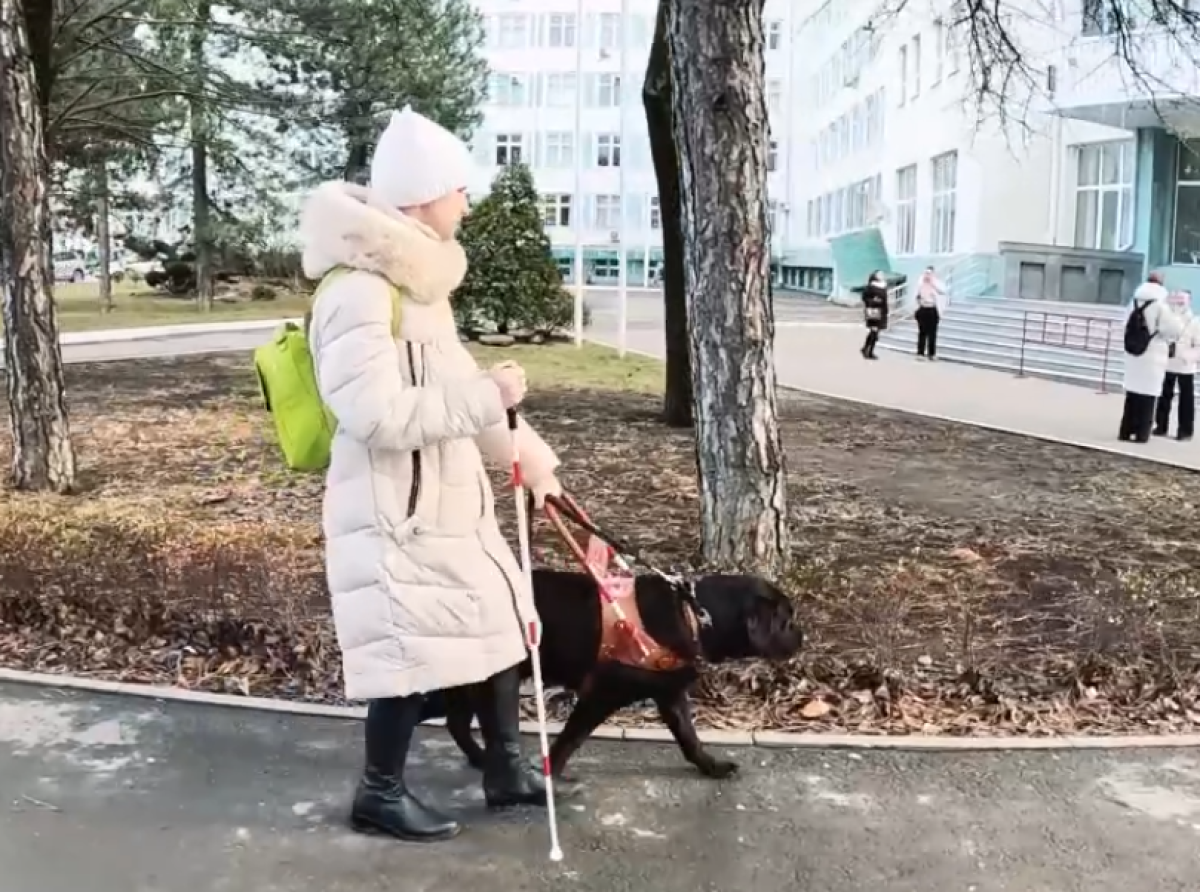 A blind Rostov woman became a guide between guide dogs and visually ...